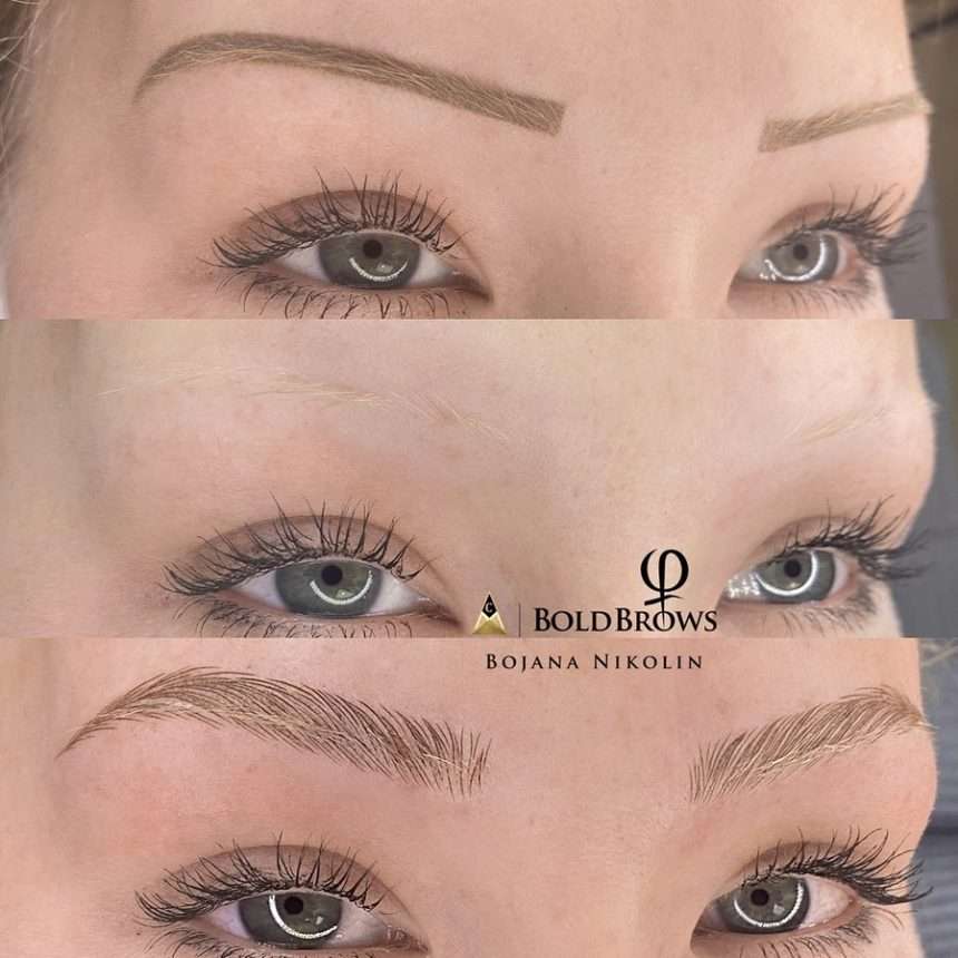 BoldBrows Perfection Training | PhiBrows Training